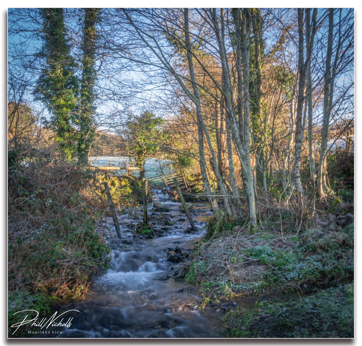 First Post of 2024 #Dartmoor. – Moorland View